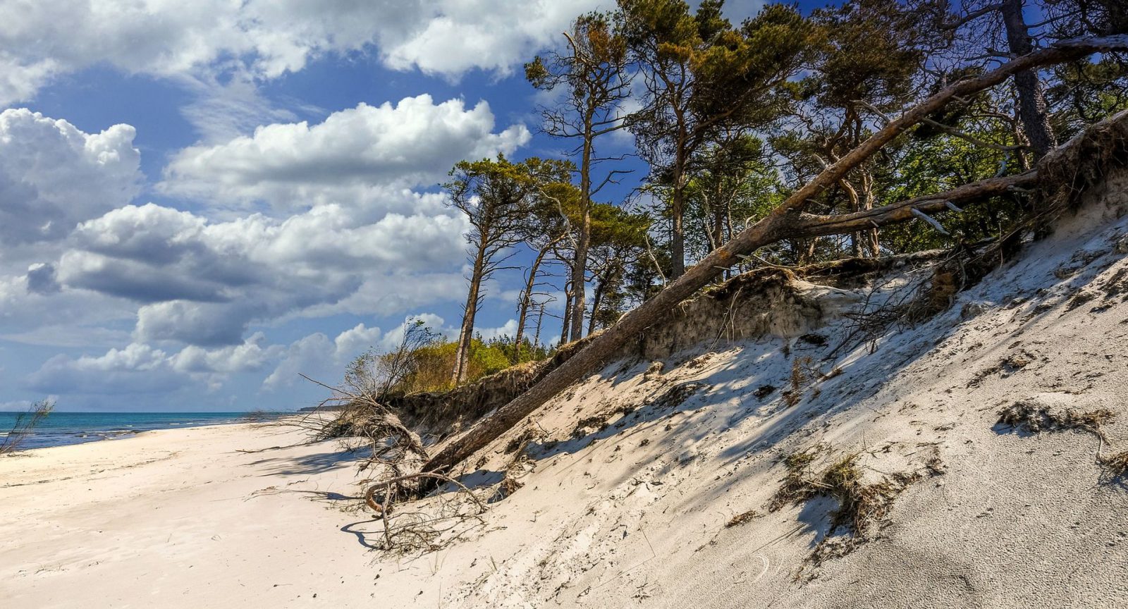 The 5 most beautiful national parks in Germany