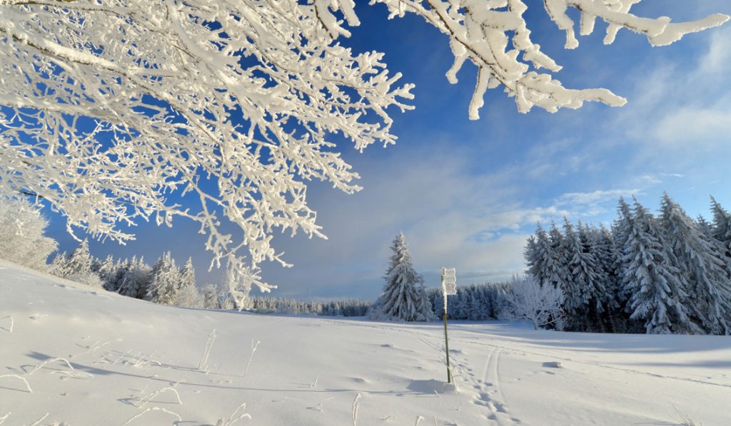 Kreuzberg: Rhön hiking in winter | TATONKA Blog