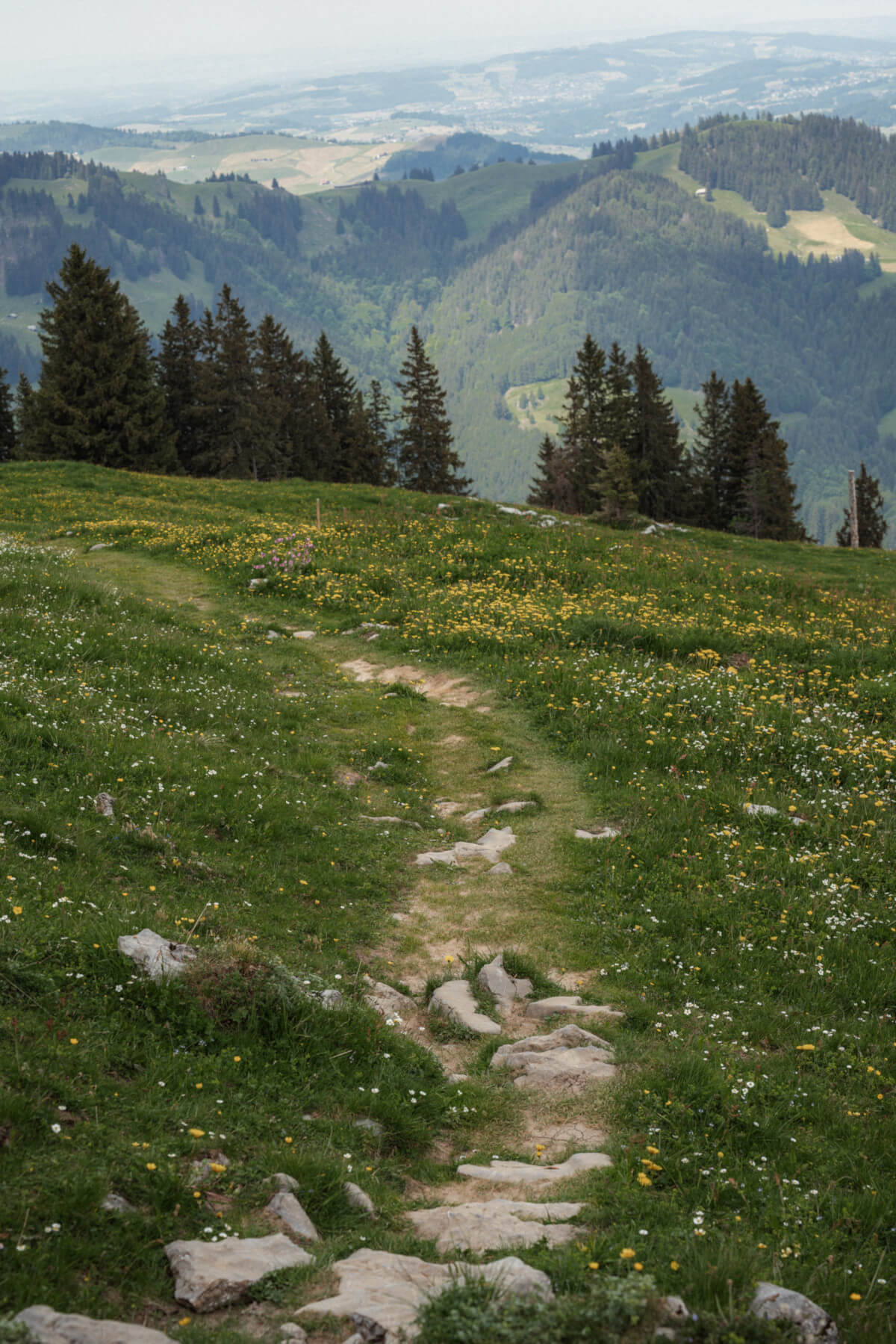 Tour tip: Circular route Schäfler & Ebenalp in Appenzell