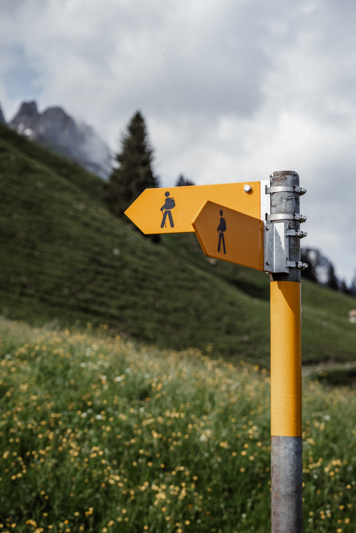 Tour tip: Circular route Schäfler & Ebenalp in Appenzell