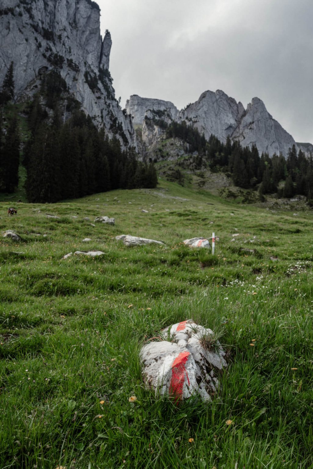 Tour tip: Circular route Schäfler & Ebenalp in Appenzell