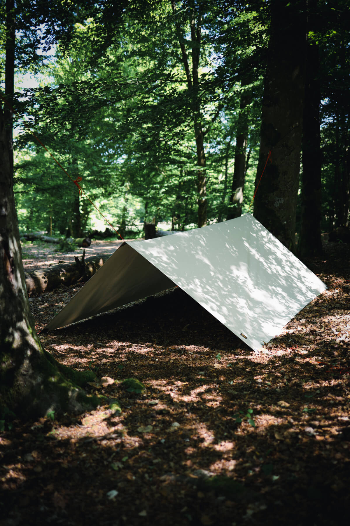 Outdoor tarps: Setup variants, tips & tricks