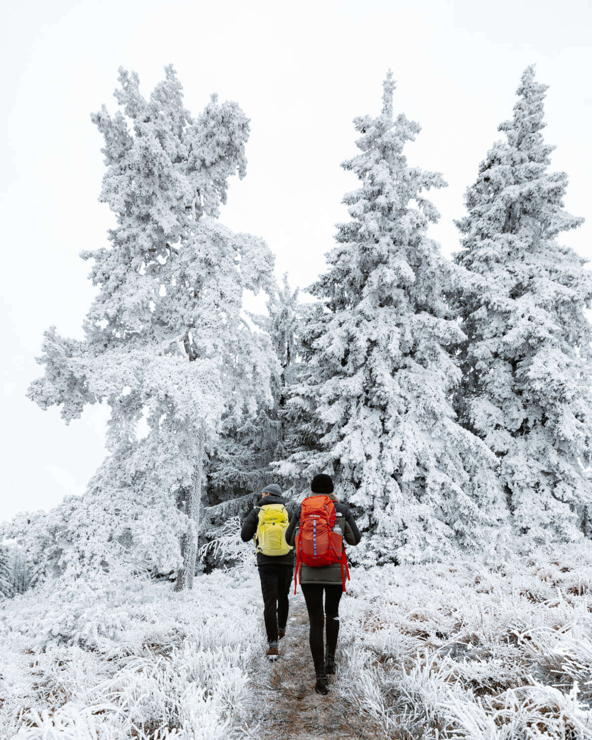 Winterwandern: So gelingt deine Wintertour